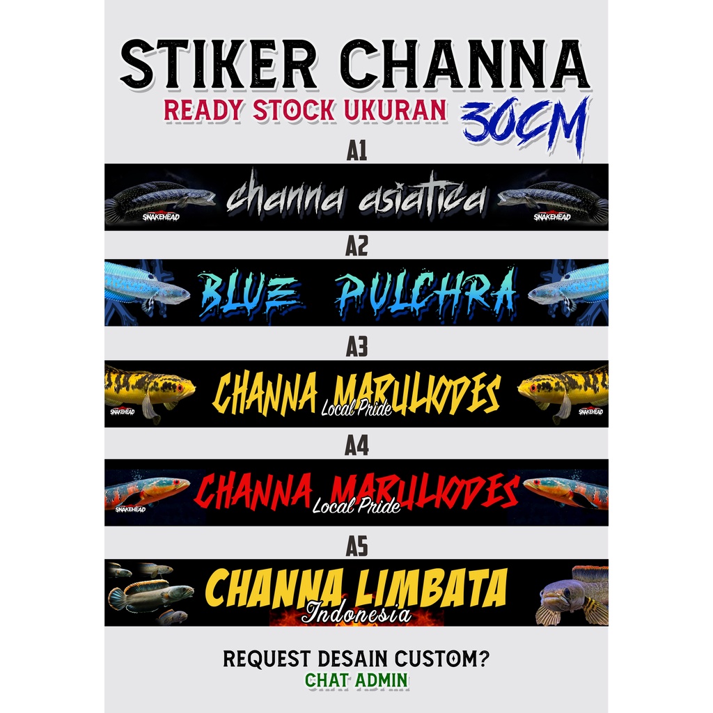Jual STIKER CHANNA 30cm AQUARIUM DEPAN | Shopee Indonesia