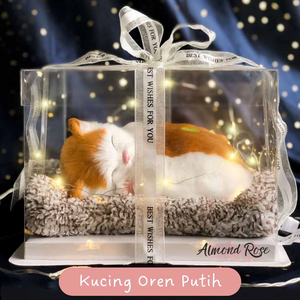 Jual KUCING OREN PUTIH - Hampers Boneka Tidur kado cewe kado pacar ...