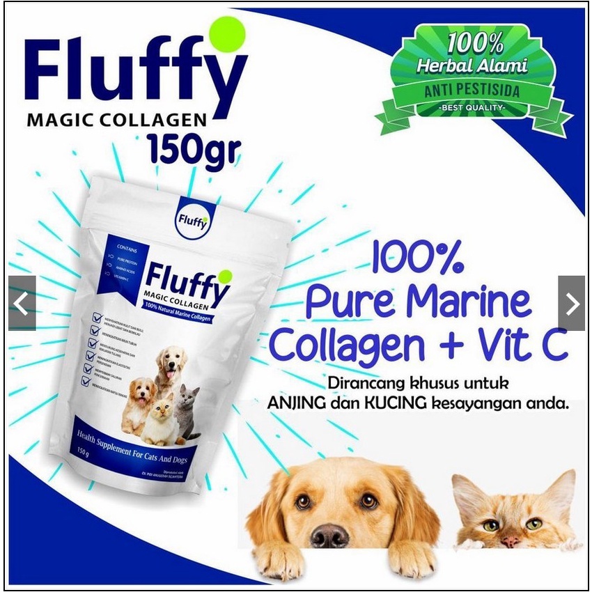 Jual Vitamin Kucing Nafsu Makan Terbaik Fluffy Magic Collagen | Shopee ...