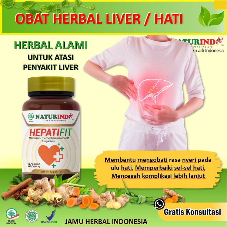 Jual Obat Batu Empedu Obat Liver Bengkak Obat Biduran Gatal Gatal Obat ...