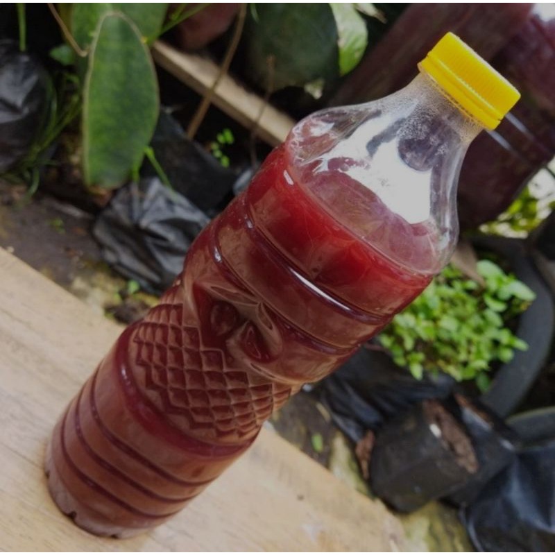 Jual biang endapan psb merah kental 100 ml | Shopee Indonesia