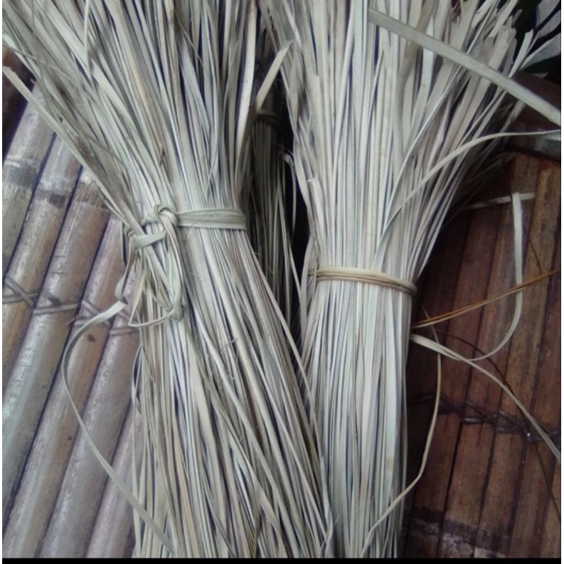 Jual Daun Pandan Duri Kering - Pandan Laut untuk Kerajinan | Shopee ...