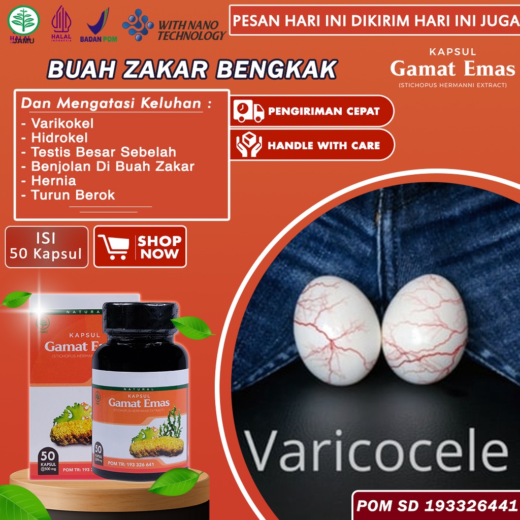 Jual Obat Buah Zakar Bengkak Sebelah Varikokel Hidrokel Testis Besar