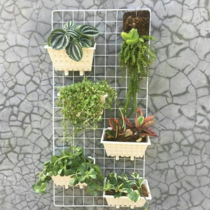 Jual ram besi gantung besar 60x100 cm rak pot dinding/tempel | Shopee ...