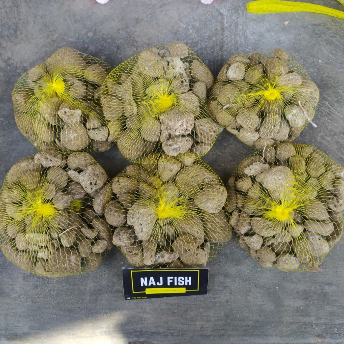 Jual Pumice Batu Apung 300gr Media Filter Akuarium Aquascape dan Kolam ...