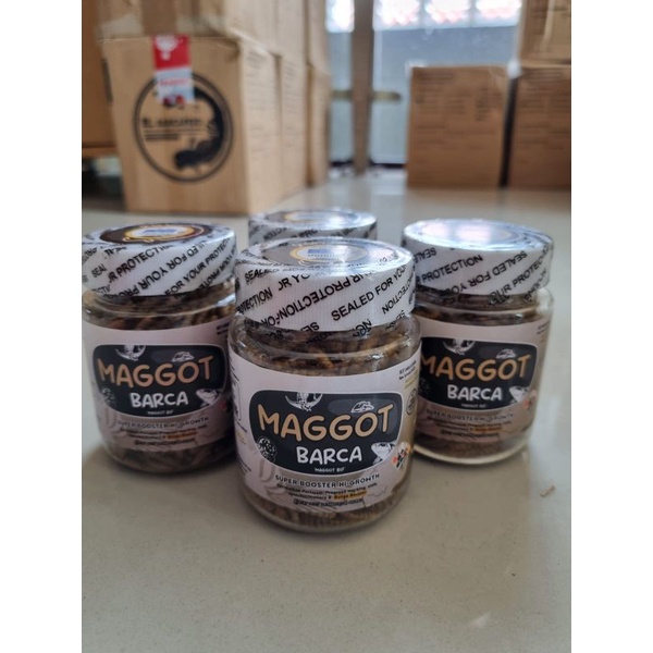 Jual MAGGOT BARCA (SUPER GROWTH++) | BUNGA BOOSTER | MAGGOT BSF 30GR ...