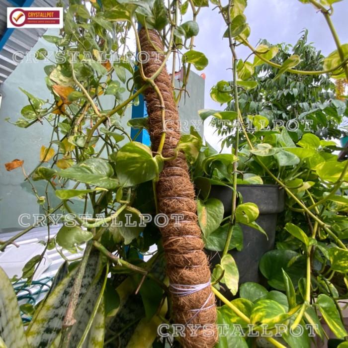 Jual Rambatan Tanaman | Turus Peyangga Tanaman Rambat 70Cm - Pipa Full ...
