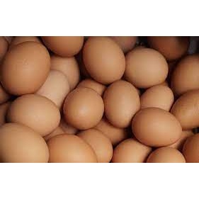 Jual Telur Ayam Negeri Curah -KG | Shopee Indonesia