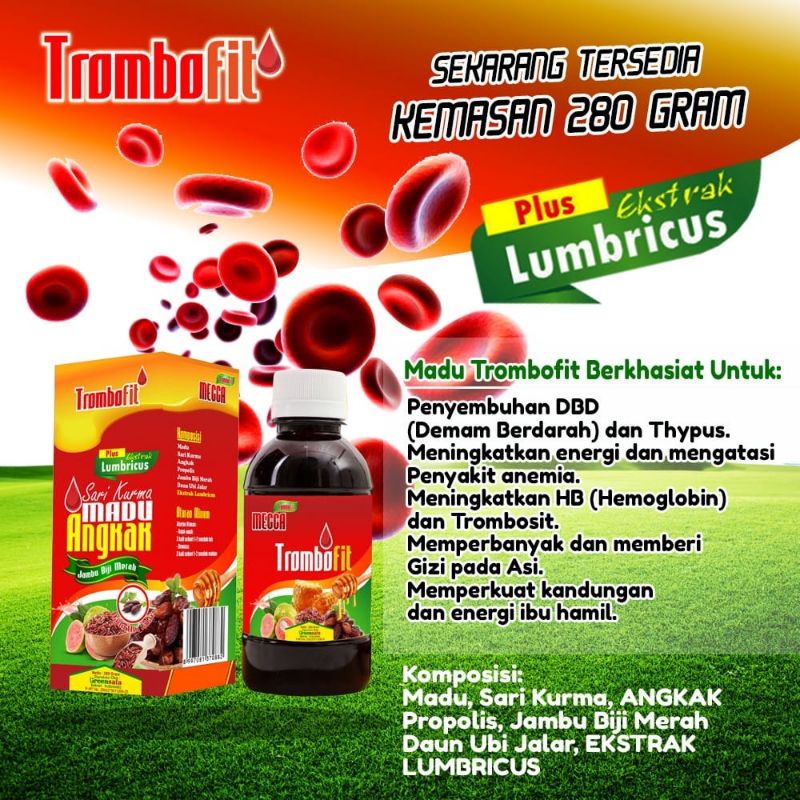 Jual Trombofit Sari kurma Madu Angkak trombofit Propolis Lumbricus Ubi ...