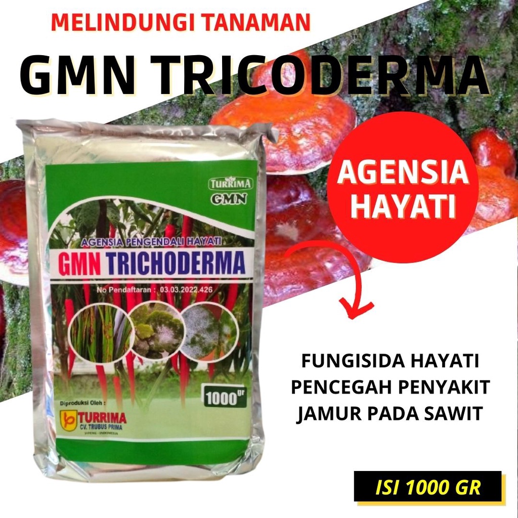 Jual Tricoderma Fungisida Hayati Pencegah Penyakit Jamur Ganoderma Pada ...
