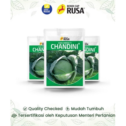 Jual BENIH KOL HYBRID CHANDINI CAP RUSA 10GR | Shopee Indonesia