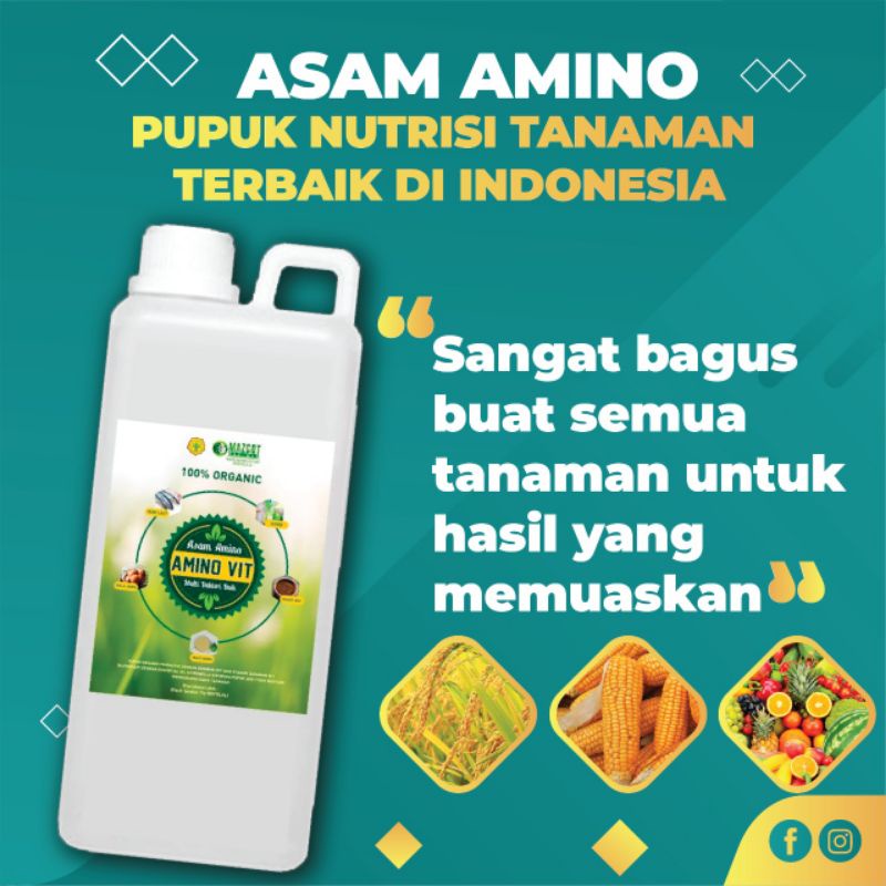 Jual ALFAGREEN- Pupuk cair organik Asam amino plus humus Pemulihan ...