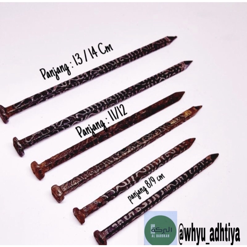 Jual Paku Hitam Rajahan Kuningan | Shopee Indonesia