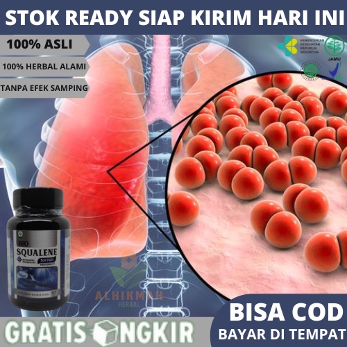 Jual Obat Radang Paru Paru, Obat Infeksi Paru Paru, Obat Paru Paru ...