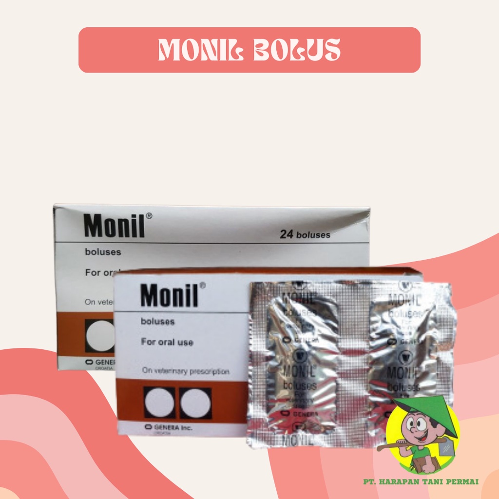 Jual MONIL BOLUS | Shopee Indonesia