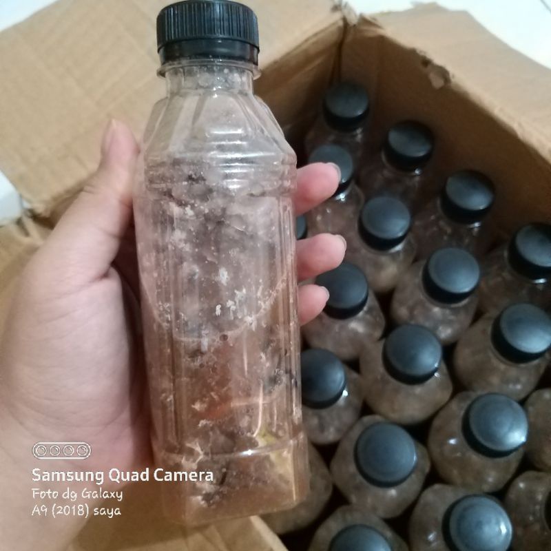Jual rusip ikan bilis | Shopee Indonesia