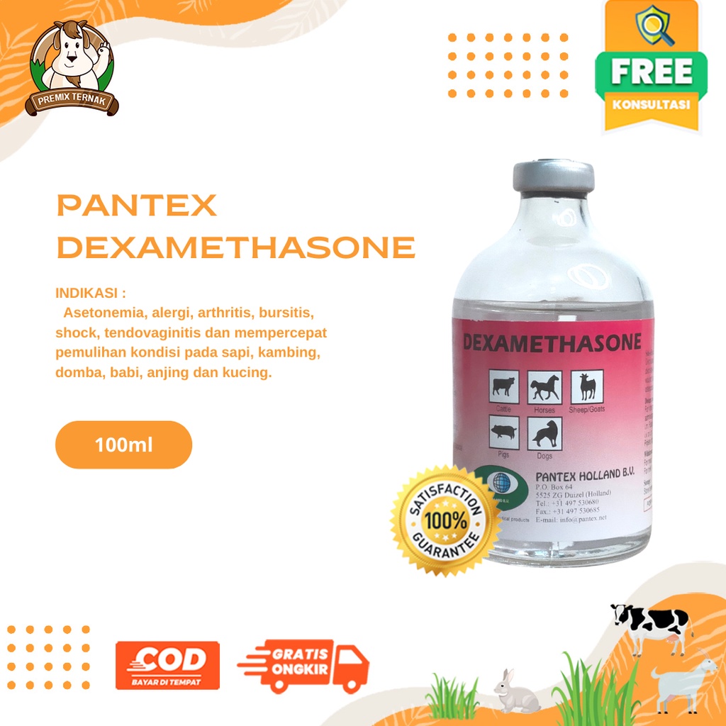 Jual PANTEX DEXAMETHASON 100 ML - Obat Anti Inflamasi Ternak Pantex ...
