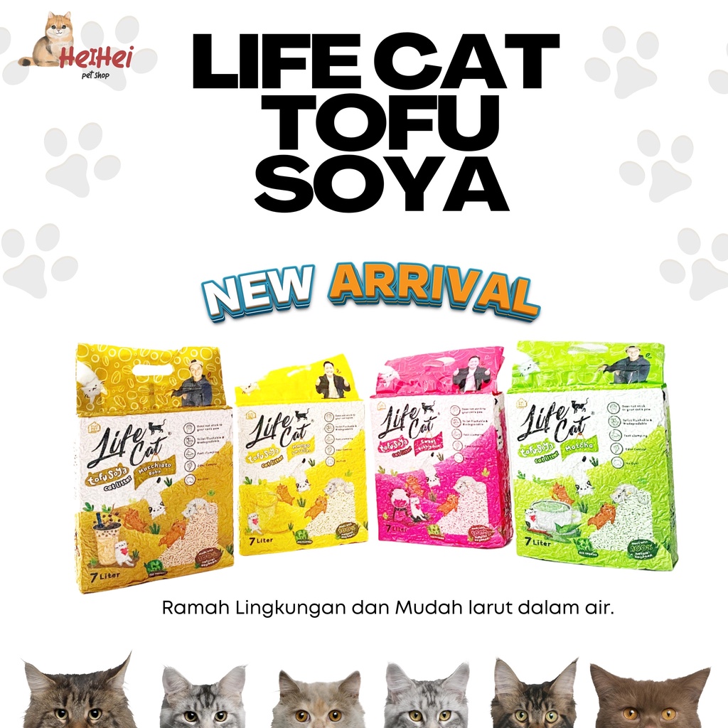 Jual Life Cat Litter Tofu Soya 7 L - Pasir Kucing Gumpal Tofu Lifecat ...