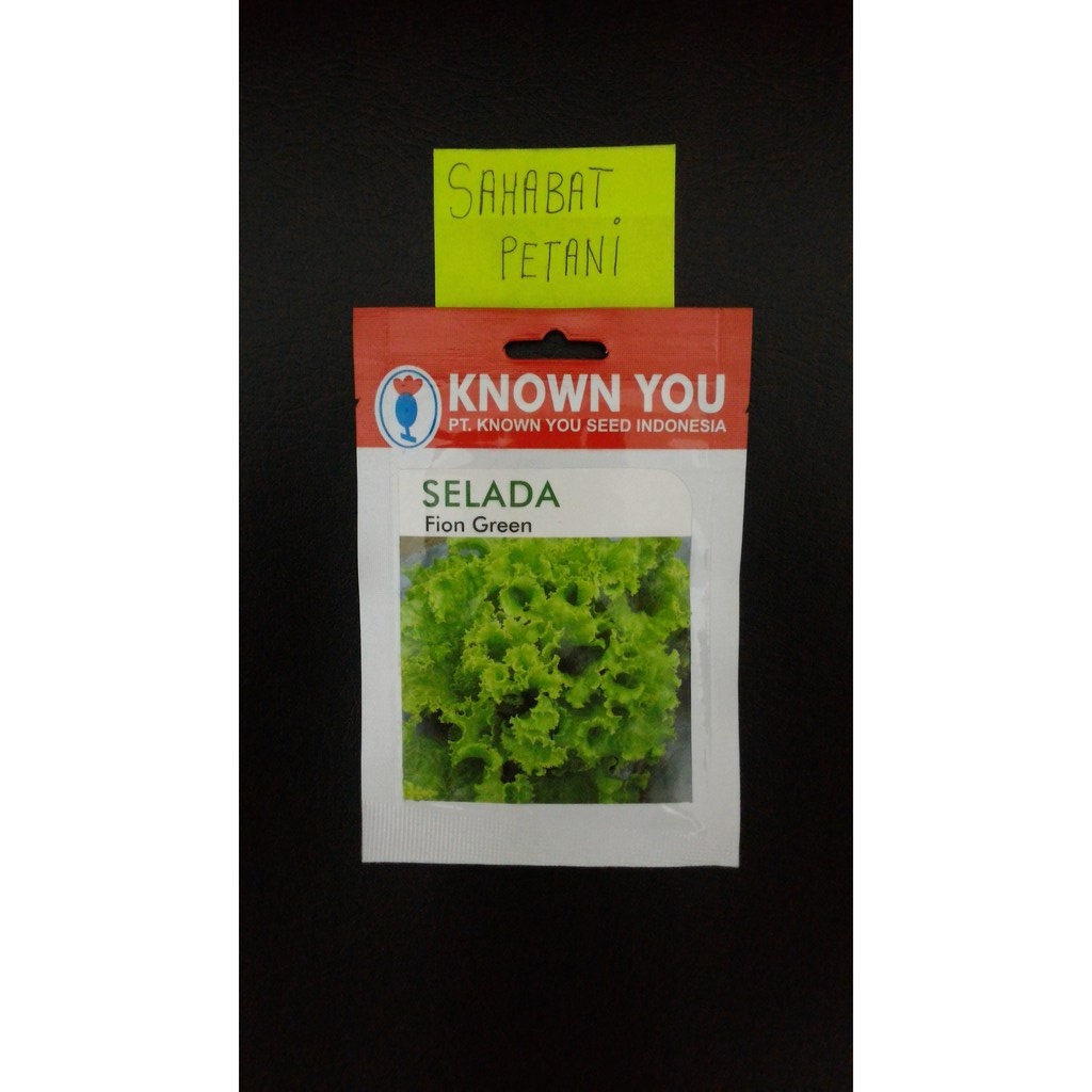 Jual Benih Selada Keriting Hijau FION GREEN 5 Gram | Shopee Indonesia