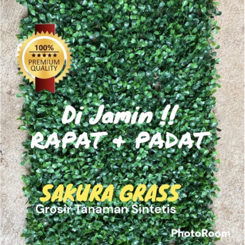 Jual DAUN DOLAR DOLARAN SINTETIS AFRICA 40X60 CM - TANAMAN DAN SINTETIS ...