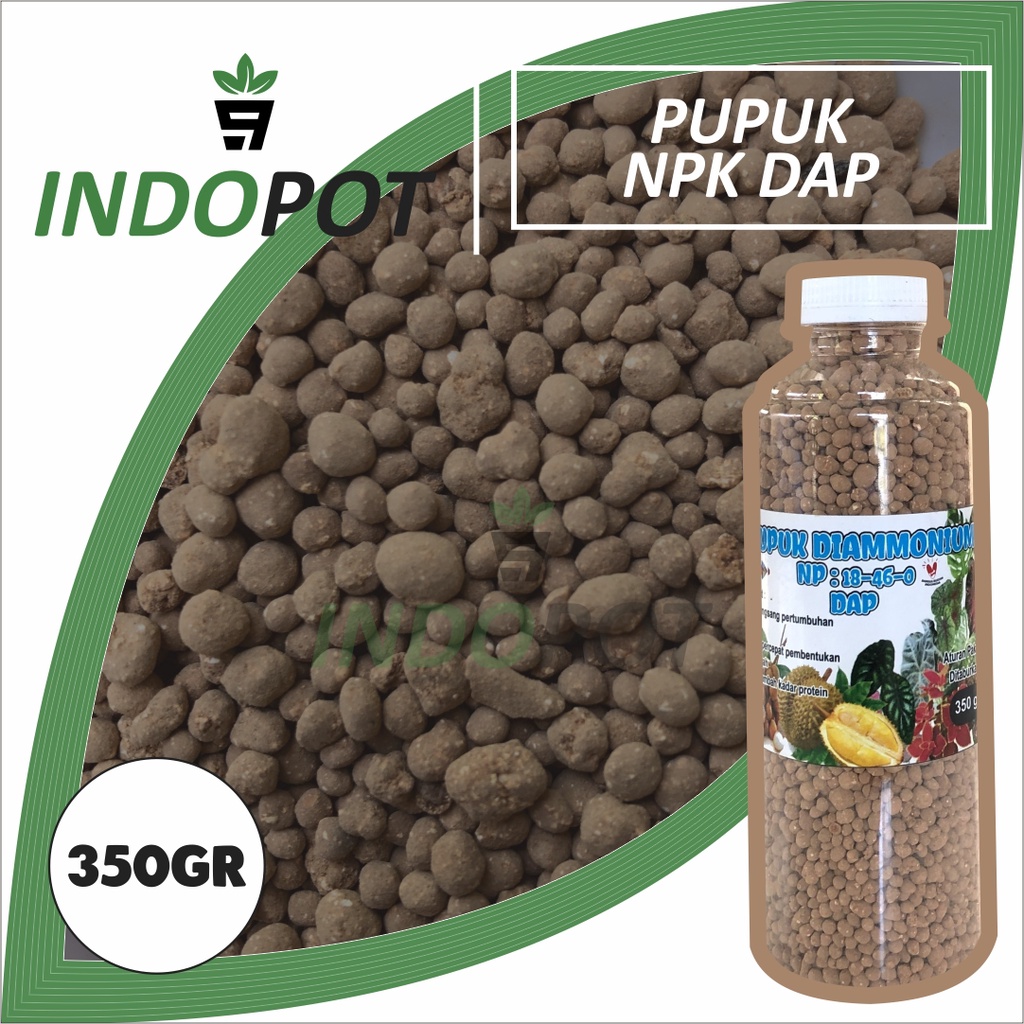 Jual Pupuk Slow Realese Padat NPK Diammonius NP 18-46-0 DAP 350gr Pupuk ...