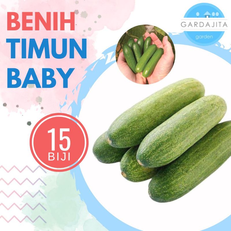 Jual Benih TIMUN BABY [isi-15] - Biji Sayur Timun Lalap Kecil | Shopee ...