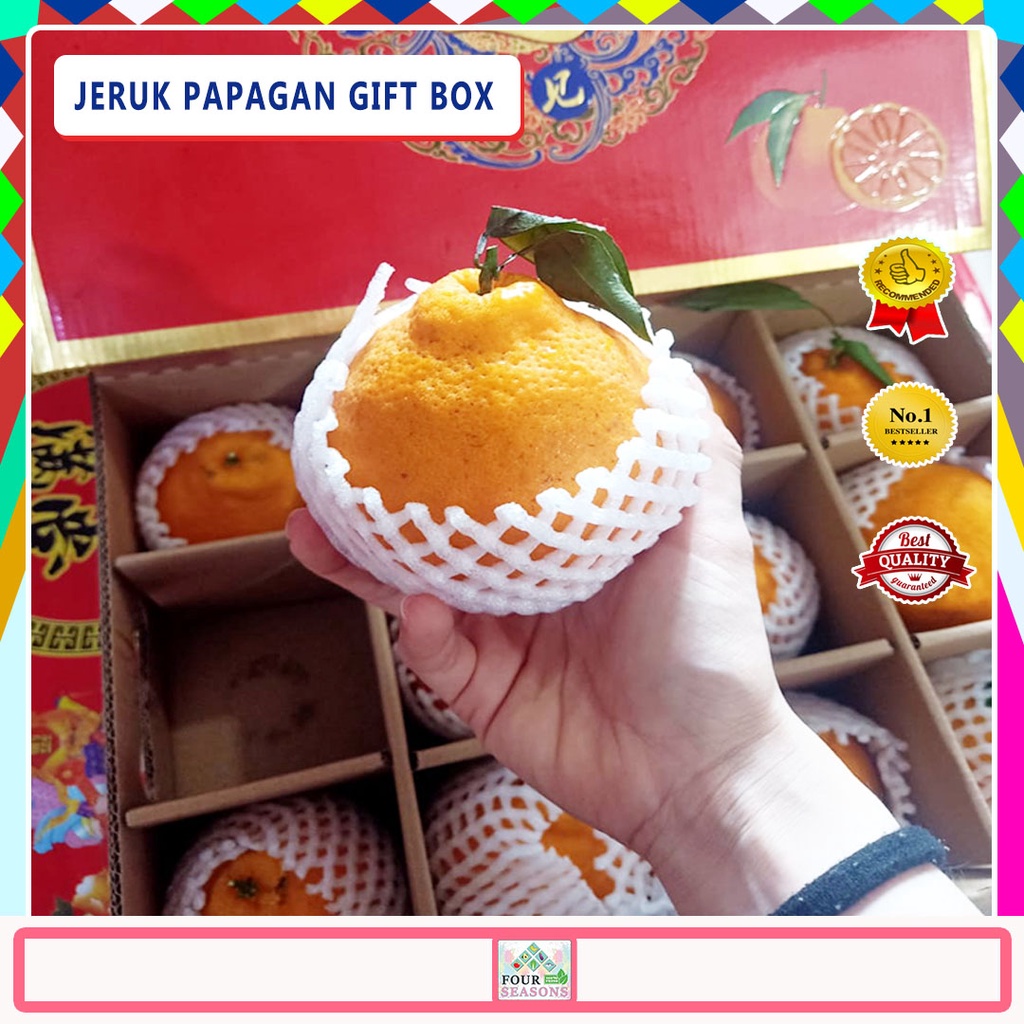 Jual BUAH IMLEK SPESIAL JERUK PAPAGAN SUPER 1 BOX ISI 12 BIJI MANIS ...