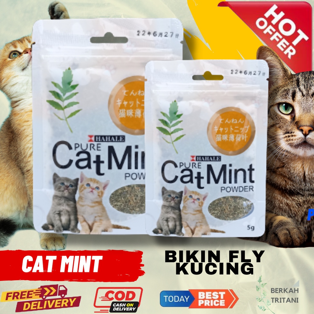 Jual Catmint Cat Mint Catnip PURE CATMINT POWDER BIKIN FLY KUCING | Shopee Indonesia