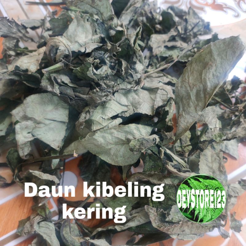 Jual Daun kiji beling kering \ Teh kibeling murni kemasan 500 Grm ...