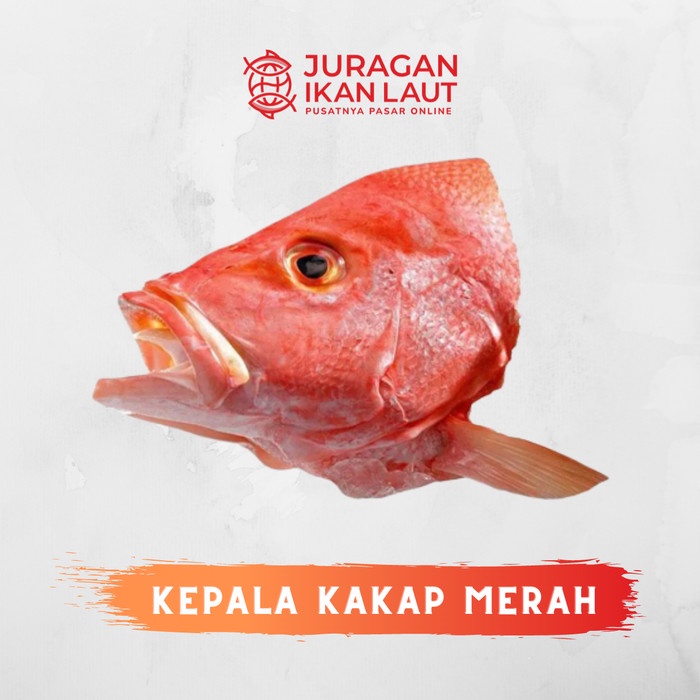 Jual Kepala Ikan Kakap Merah Segar Fresh Berkualitas - 1 Kilogram ...