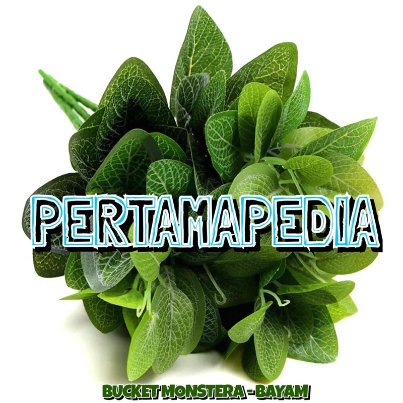 Jual Bucket Monstera X7/ Bunga Plastik/ Rumput Plastik/ Daun Plastik ...