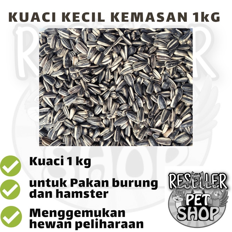 Jual KUACI KECIL KEMASAN 1 KG KWACI HAMSTER KUACI HAMSTER KUACI BURUNG ...