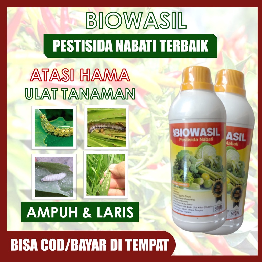 Jual (PROMO MURAH) Biowasil 500 ML Obat Untuk membasmi hama Ulat Cabe, Ulat Bawang Daun, Ulat ...