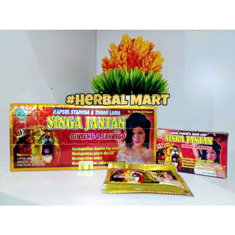 Jual Singa Jantan Original | Shopee Indonesia