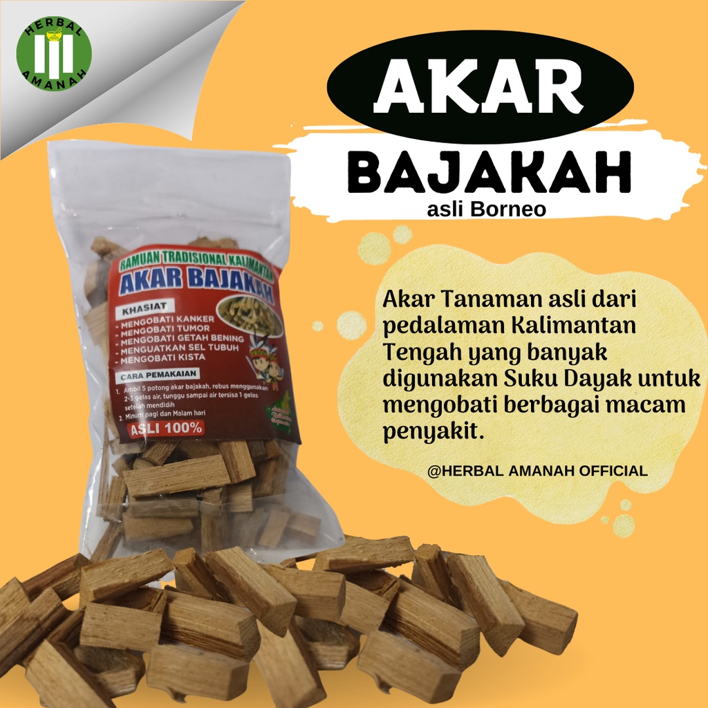 Jual AKAR BAJAKAH RAMUAN TRADISIONAL KALIMANTAN BERAGAM KHASIAT ...