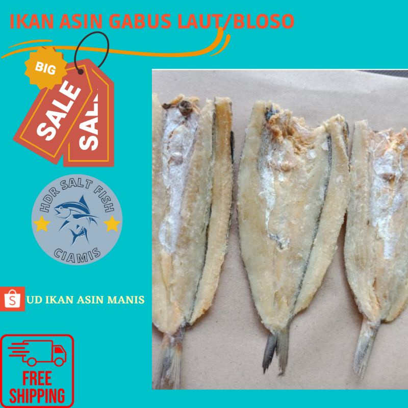 Jual ikan asin bloso/gabus laut= 1kg harga paling murah | Shopee Indonesia