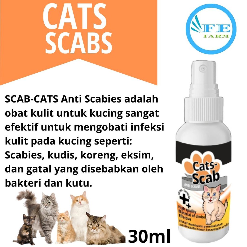 Jual Cats Scab 30ml Obat Jamur Kucing Scabies Demodex Impetigo Jamur ...