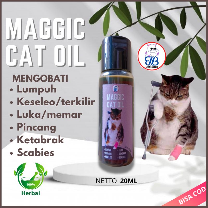 Jual maggic cat oil obat pincang patah kaki luka keseleo jamur kucing ...