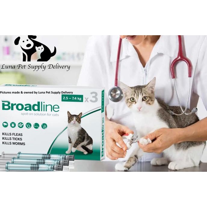 Jual Promo Obat Kutu, Pinjal, Scabies dan Cacing Kucing Broadline L 2,5 ...