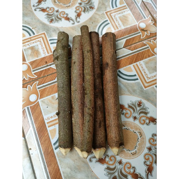 Jual Bibit setek pohon loa per 1 kg | Shopee Indonesia