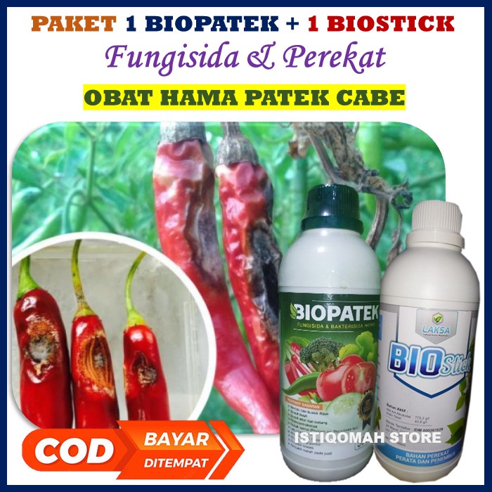 Jual Paket Obat Patek Cabe 1 BIOPATEK + 1 BIO STICK Perekat di Musim Hujan - Fungisida Bio Patek ...