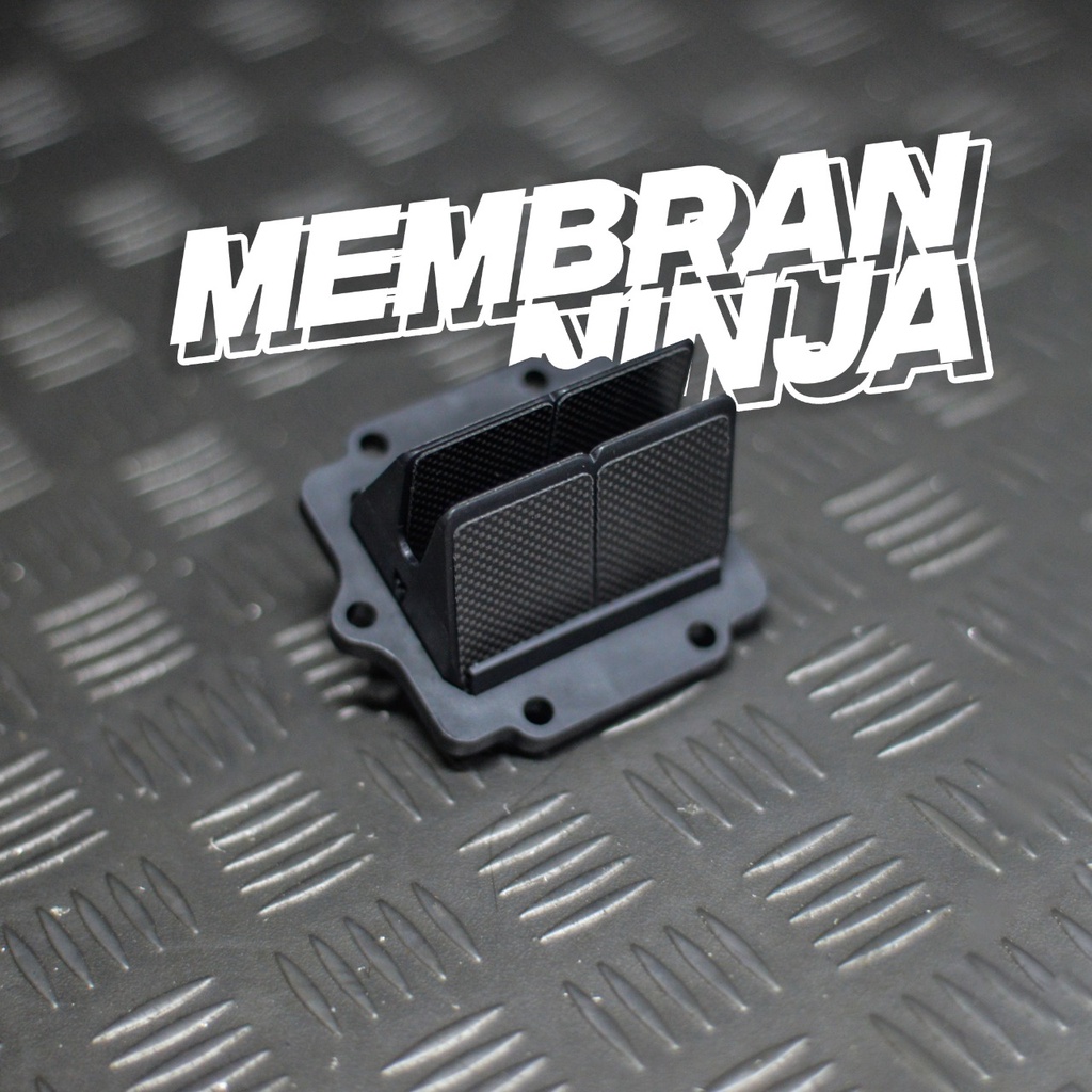 Jual Kawahara Intake Valve / Membran - NINJA [SET] | Shopee Indonesia