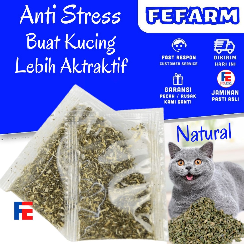 Jual Daun Catnip Bubuk Sachet untuk Kucing 1 Gram FEFARM | Shopee Indonesia