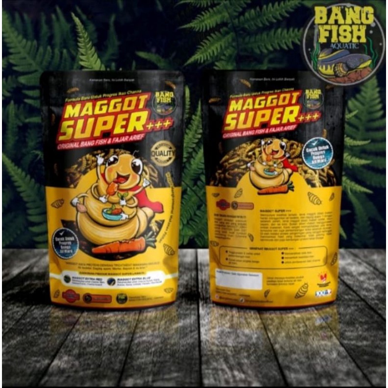 Jual MAGGOT SUPER +++ BANGFISH X FAJAR ARIEF (EXTRA BETACAROTENE ...