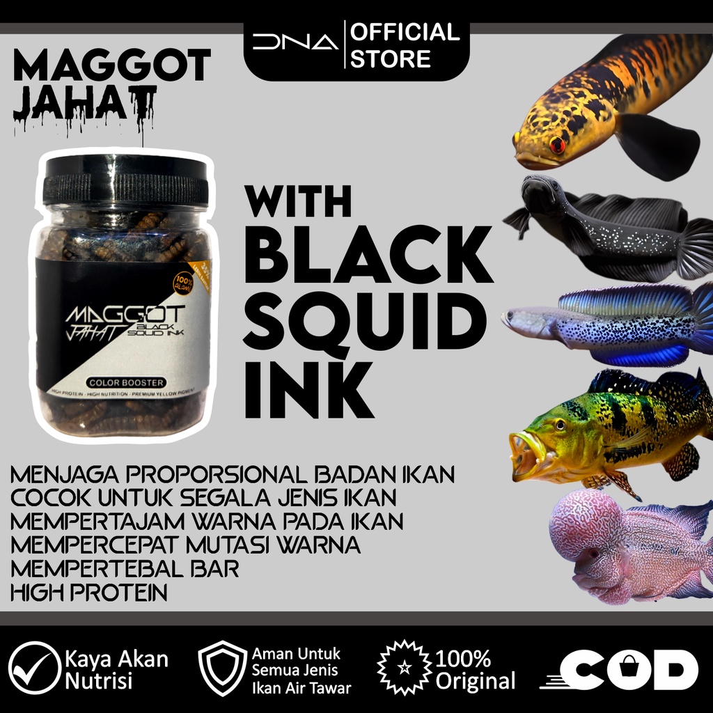 Jual MAGGOT KERING JAHAT BLACK SQUID INK pakan untuk tinggi akan protein Dari Tinta cumi alami ...