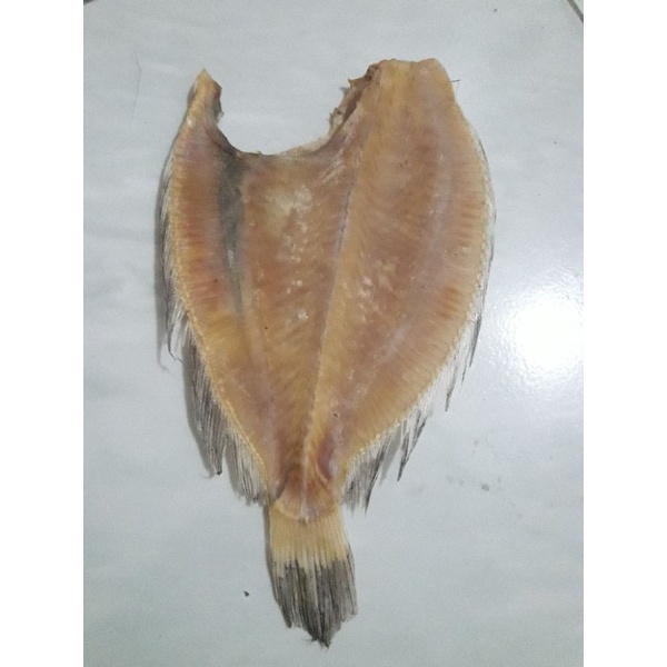 Jual Ikan Pihi 100gr / ikan sebelah | Shopee Indonesia