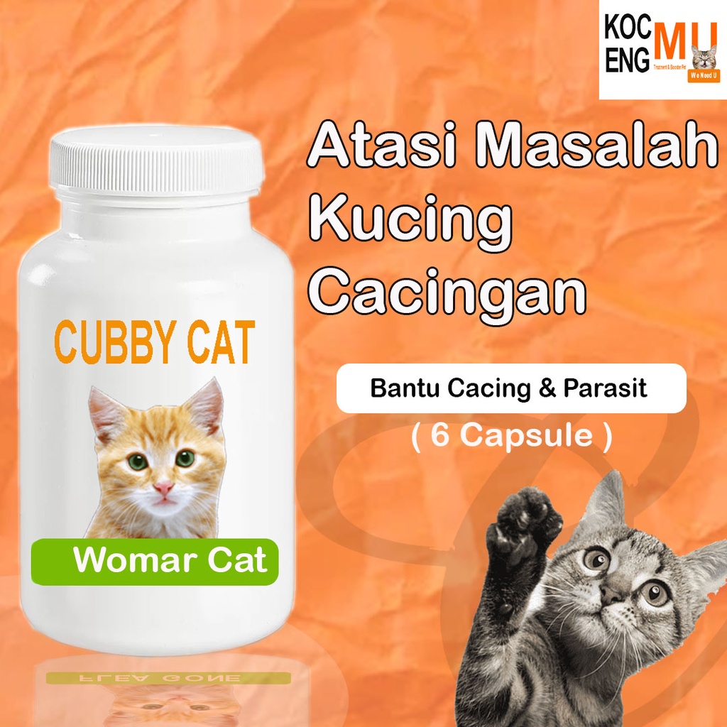Jual Obat Cacing Kucing Obat Cacing Kucing Kitter Ampuh Cubbycat (6caps ...