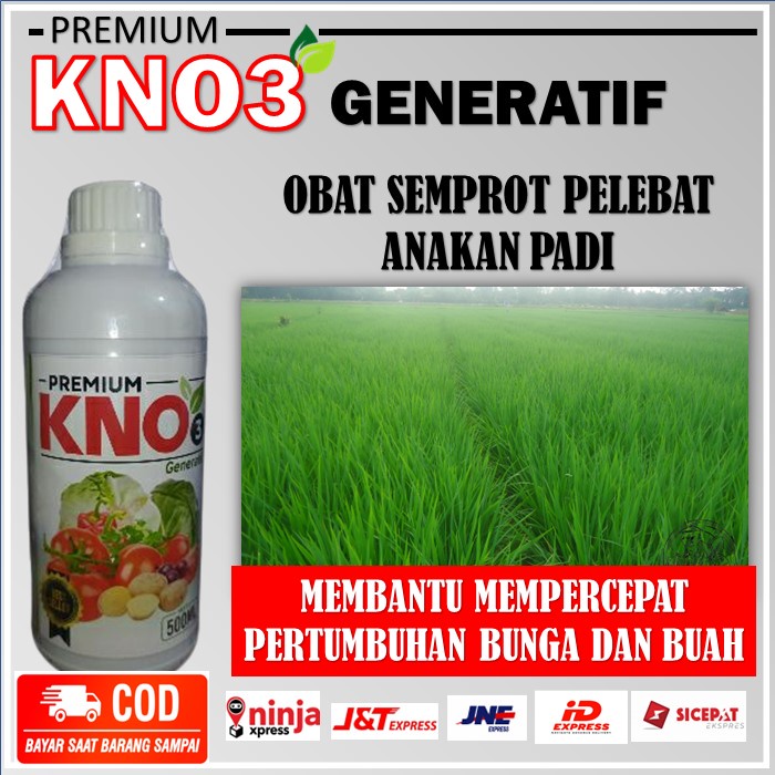 Jual Premium KNO3 Generatif 500ML Pupuk Tanaman Padi Agar Berbuah Lebat dan Berat Semua Jenis ...