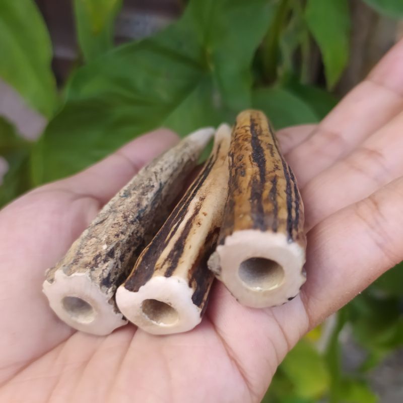 Jual once pipa rokok tanduk rusa mini | Shopee Indonesia