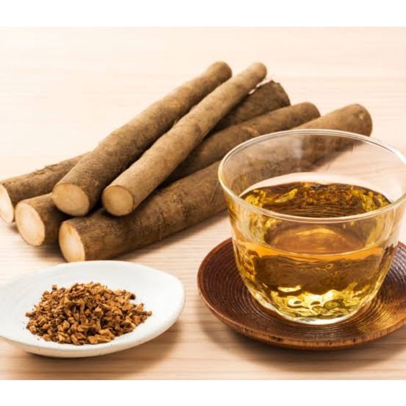 Jual ( PREMIUM) GOLDEN BURDOCK ROOT TEA / GOBO NIU PANG TEA | Shopee ...